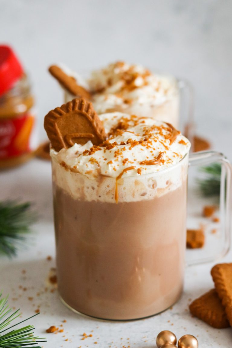 Biscoff Hot Chocolate (So Good) - My Morning Mocha