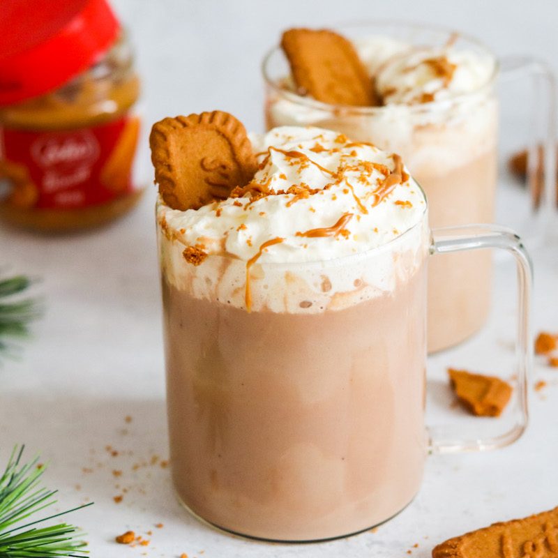 15+ Biscoff Recipes (The Best Desserts) - My Morning Mocha